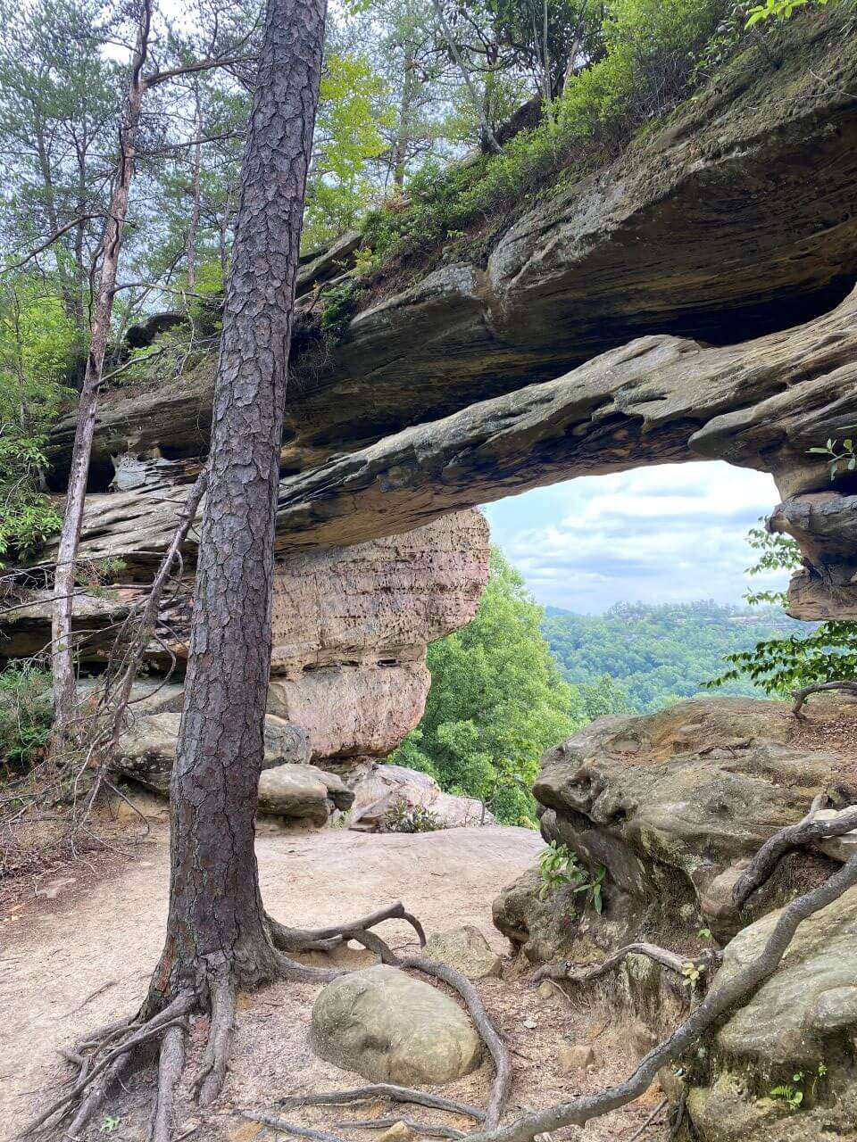 The Ultimate Guide on the Best Things to Do in Red River Gorge