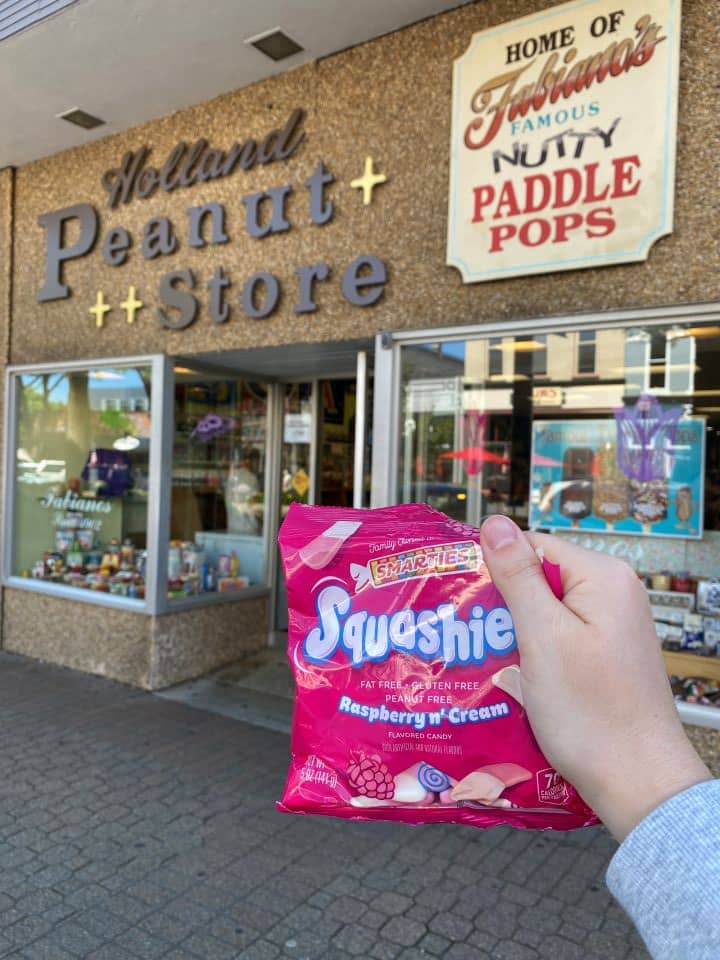 11 Things to Do in Holland, Michigan (From My One-Day Visit)