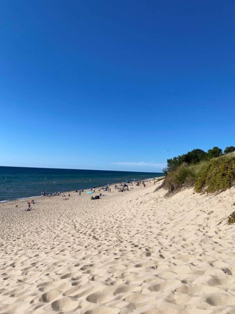 11 Things to Do in Holland, Michigan (From My One-Day Visit)